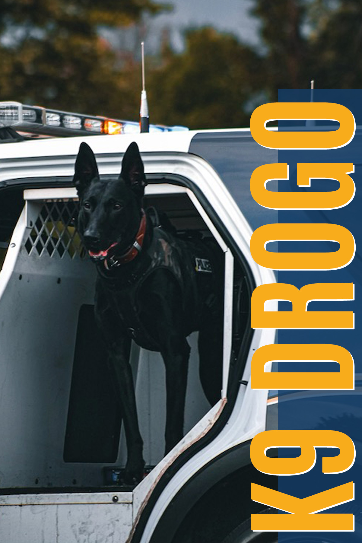 K-9 UNIT – Chambersburg Police Careers